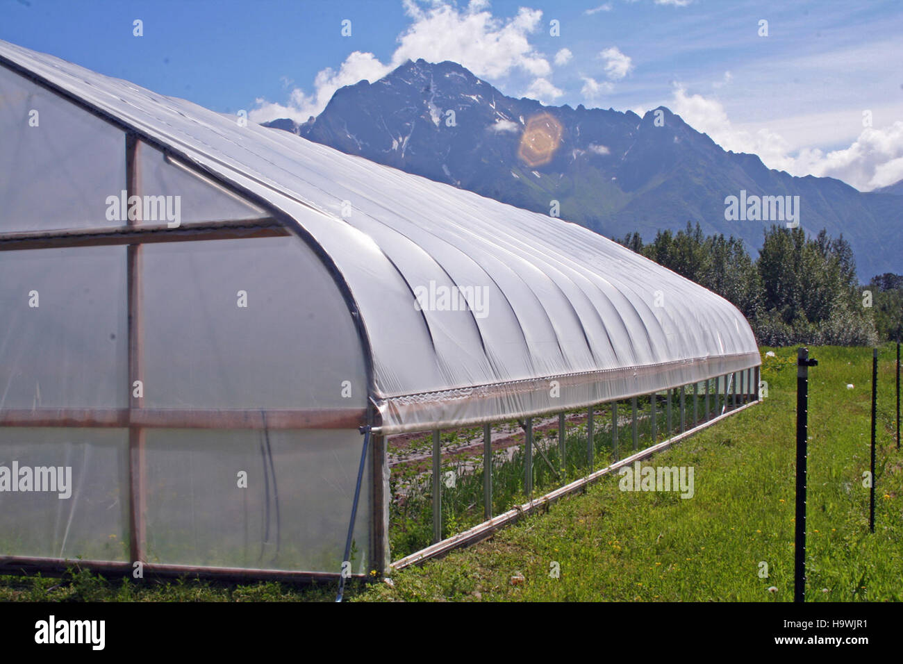 Hoop tunnels hi-res stock photography and images - Alamy