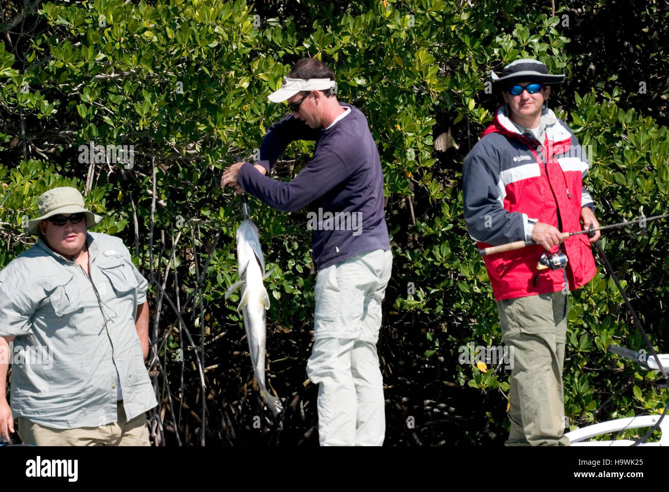 Everglades National Park, known for its vast wetlands and diverse ...