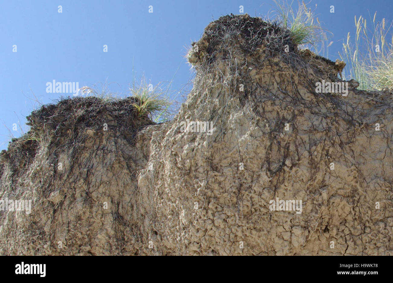 The Sod Table in Badlands National Park showcases unique rock ...