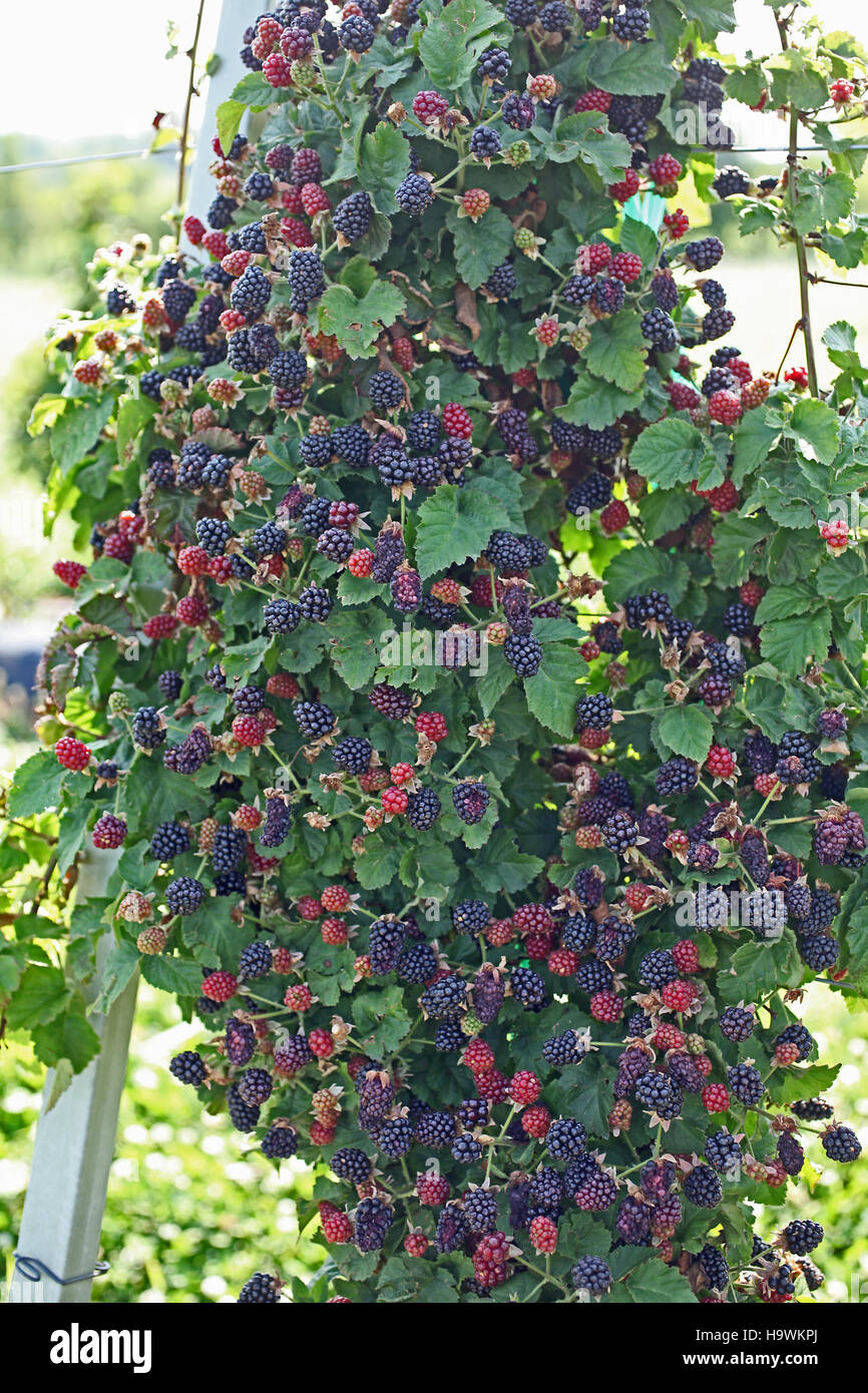 Rotating cross hi-res stock photography and images - Alamy