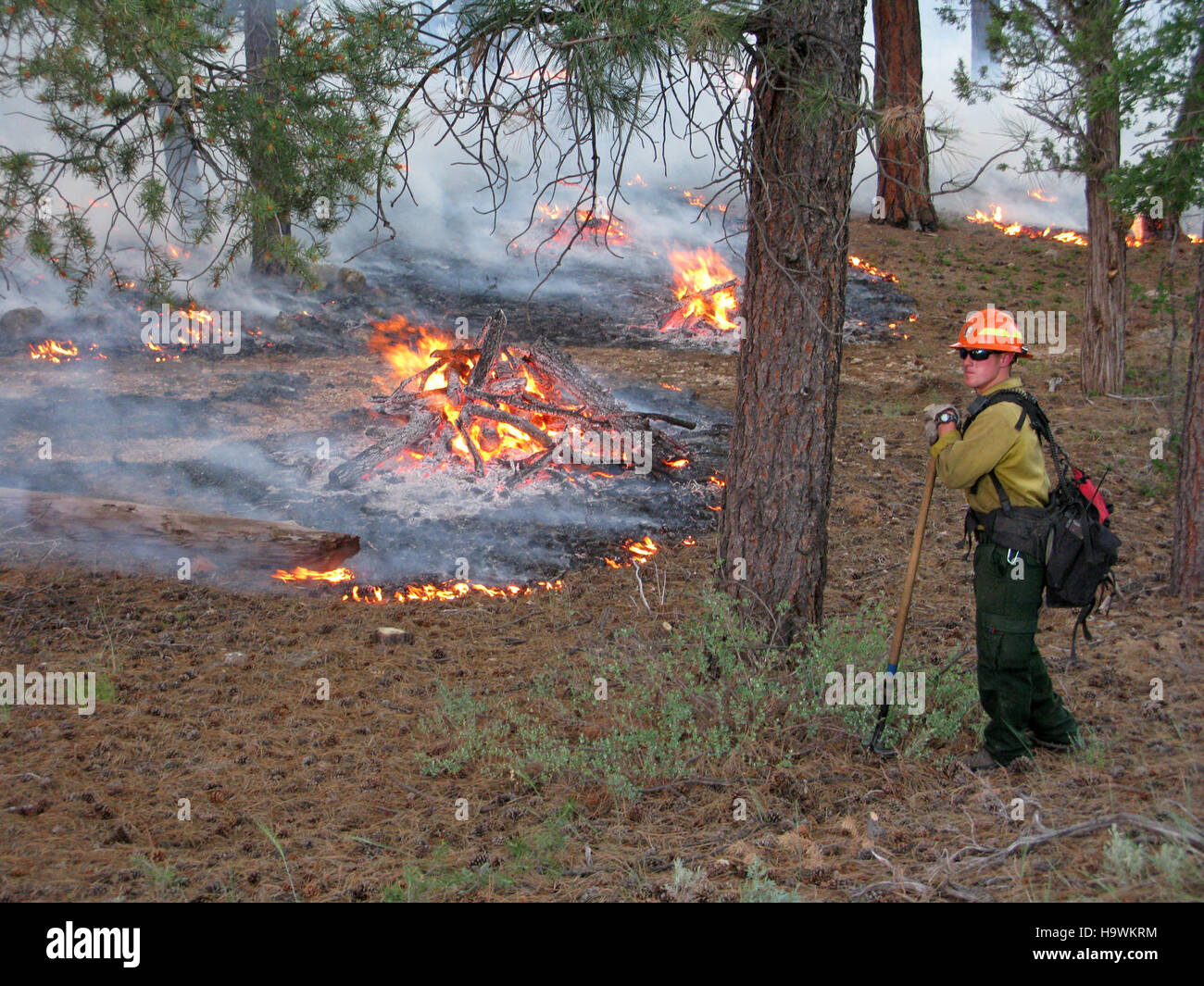 Hazardous fuels reduction efforts in Grand Canyon National Park focus ...