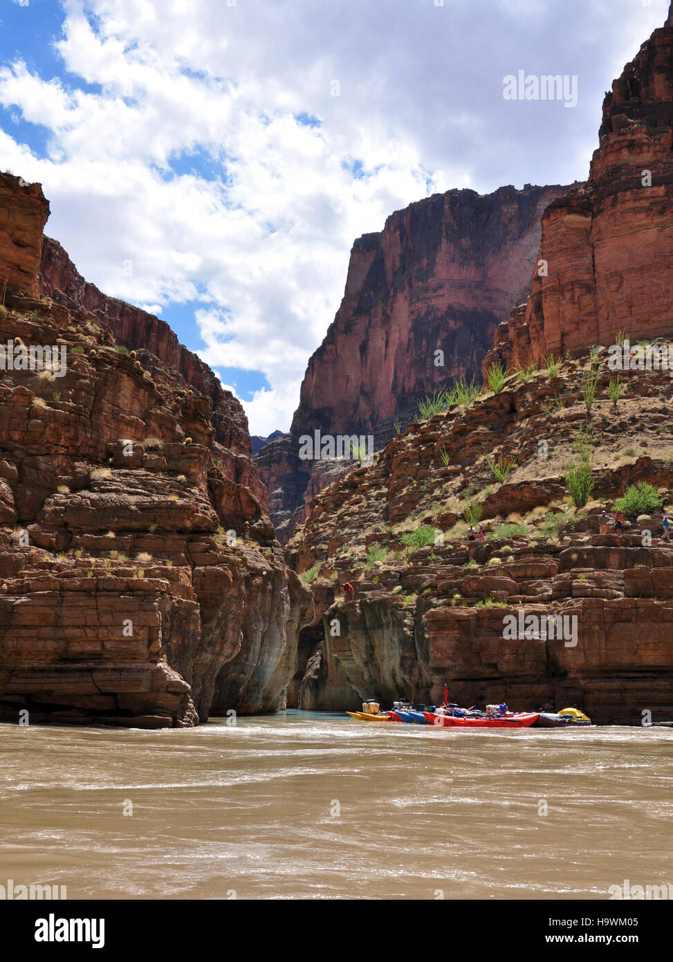 The Grand Canyon National Park, with its striking geological formations ...
