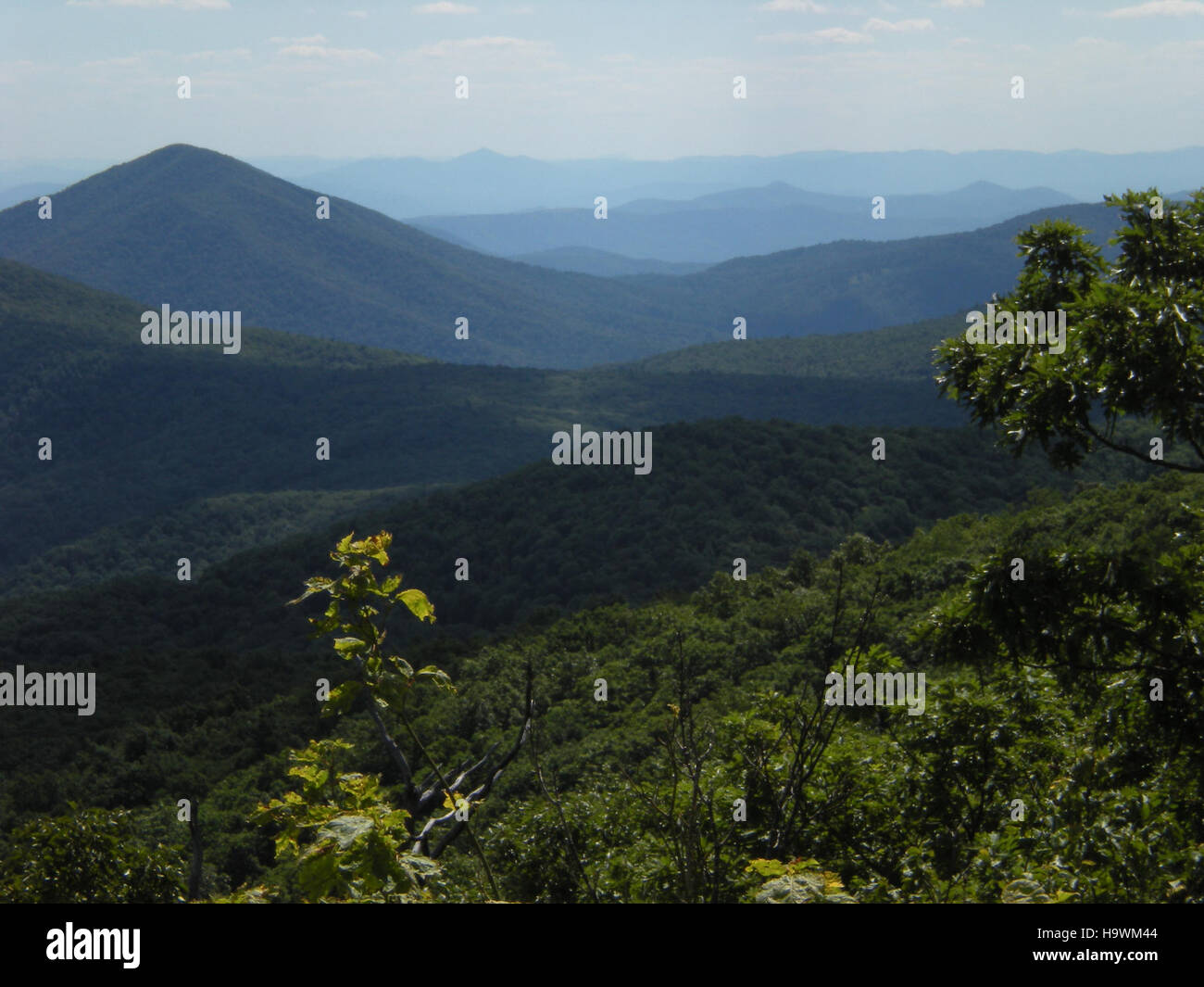 A scenic view from Apple Orchard Mountain along the Appalachian Trail ...