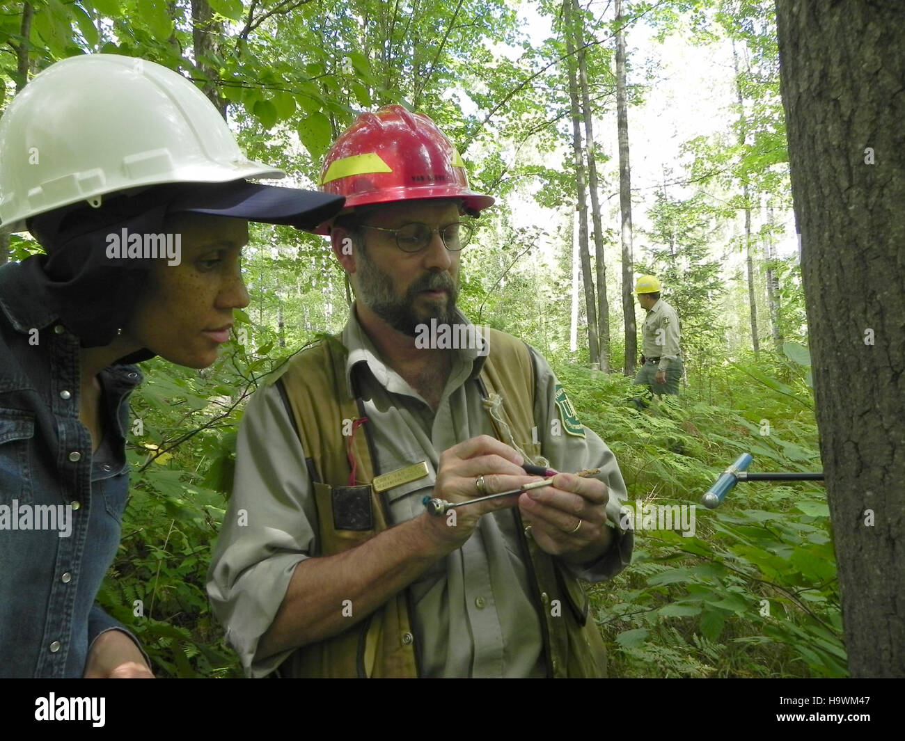 Natural resources professionals from the U.S. Forest Service ...