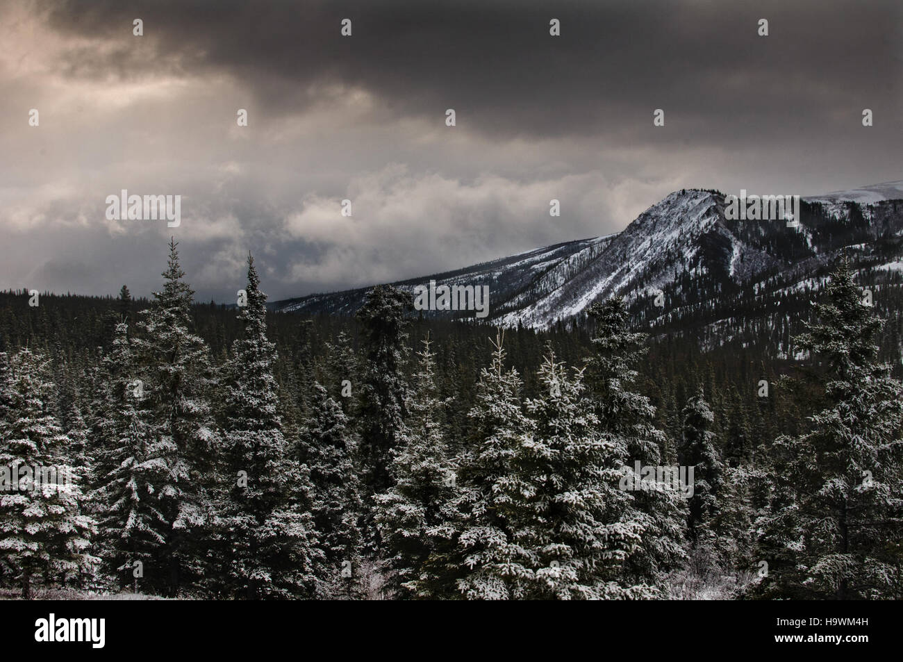 A spring storm in Denali National Park brings dramatic weather changes ...