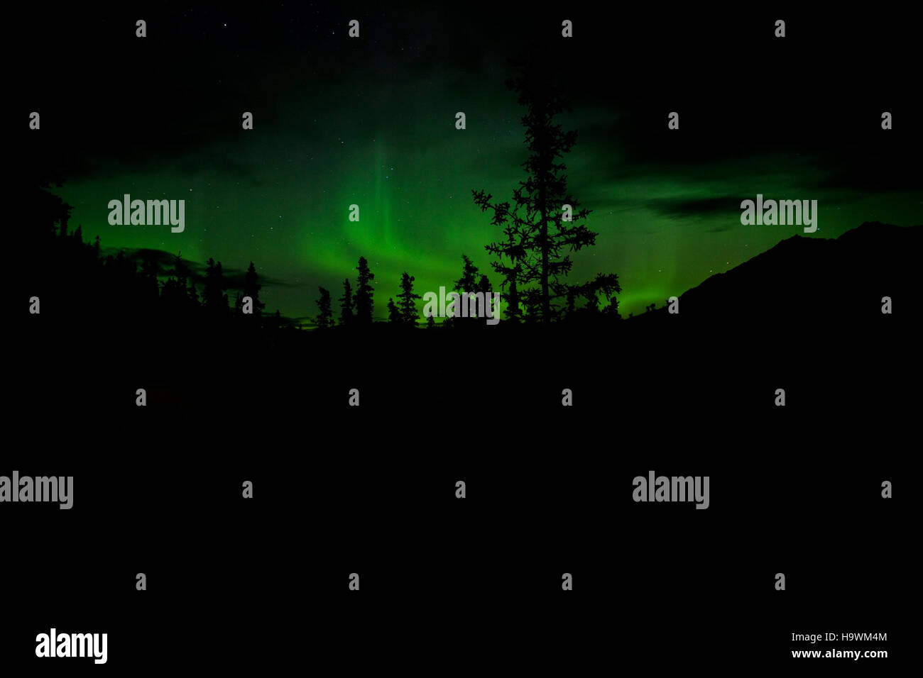 The Toklat area in Denali National Park offers stunning views of the ...