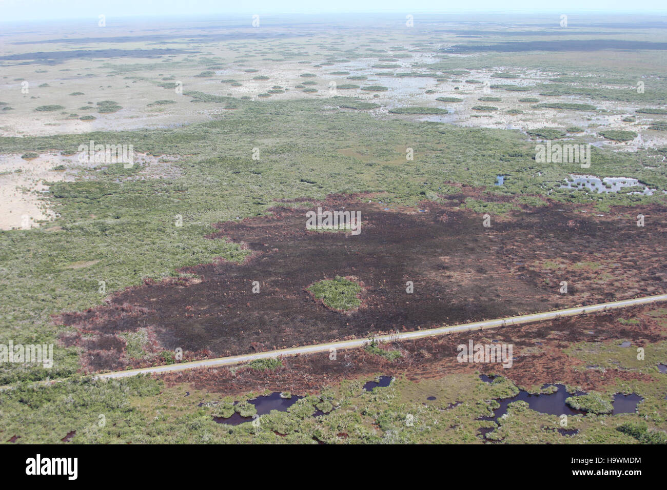 Aerial image showing the prescribed fire technique used in Everglades ...
