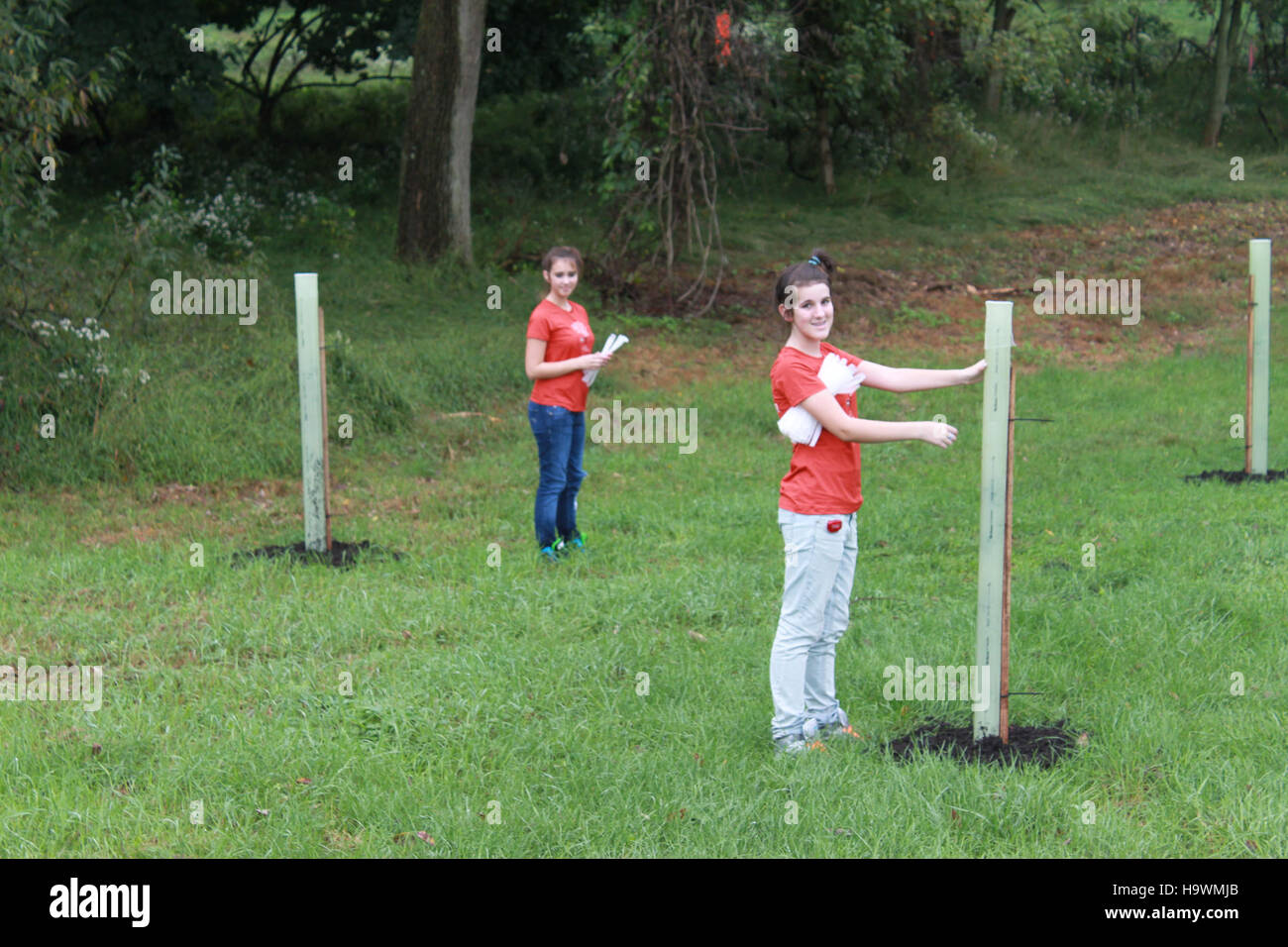 Volunteers and park staff participate in a tree planting event at ...