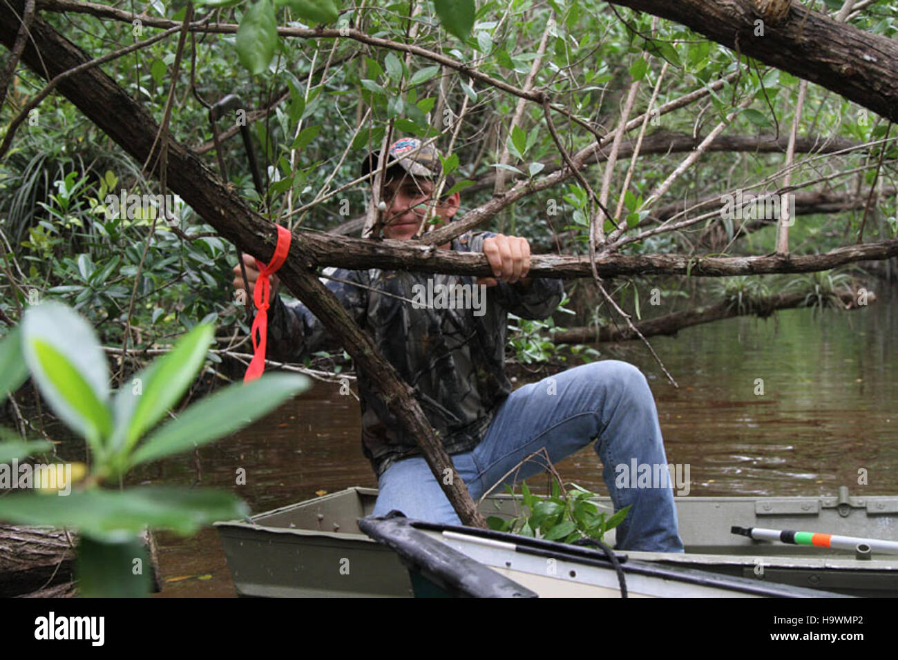 The image depicts rangers working to clear a canoe trail in Everglades ...