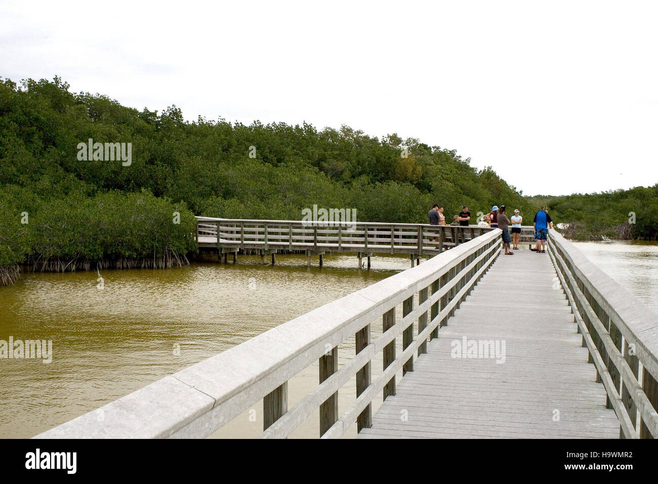 Visitors walk along the West Lake Boardwalk in Everglades National Park ...