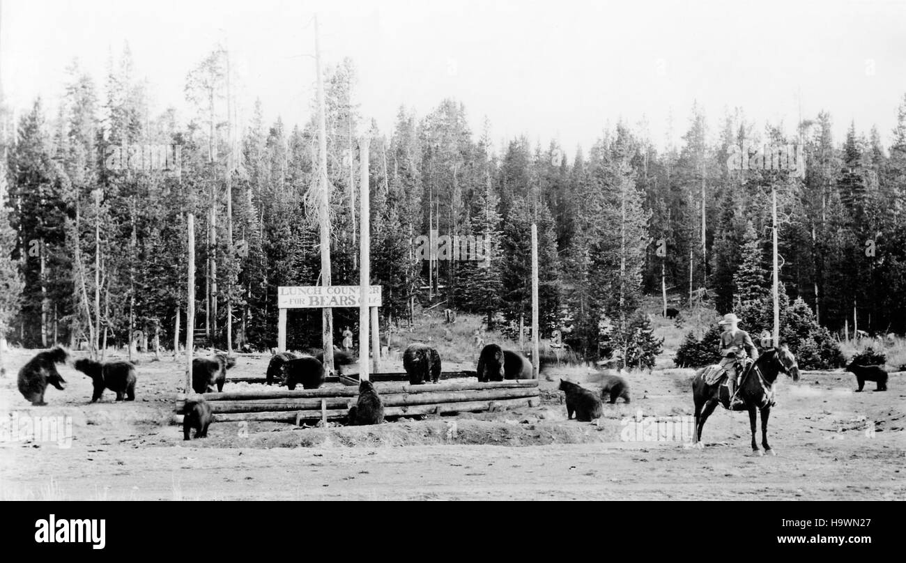 This image features a wildlife sign marking the 'Lunch Counter - For ...