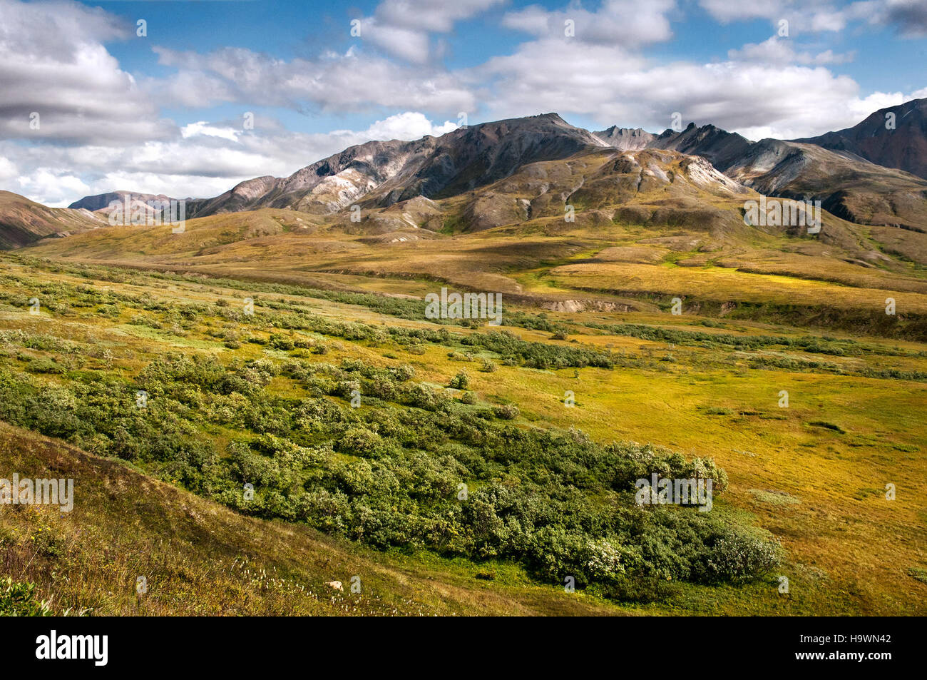 Denali National Park's Thorofare area offers pristine natural beauty ...