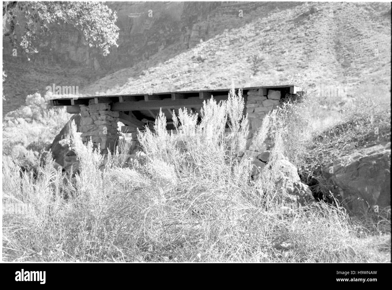 Angel in the garden Black and White Stock Photos & Images - Alamy