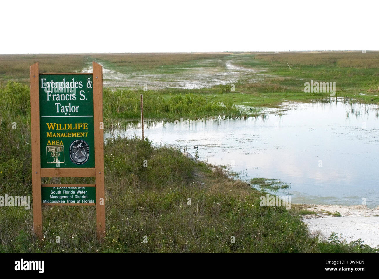 Levees, dikes, and dams are integral parts of the Everglades National ...