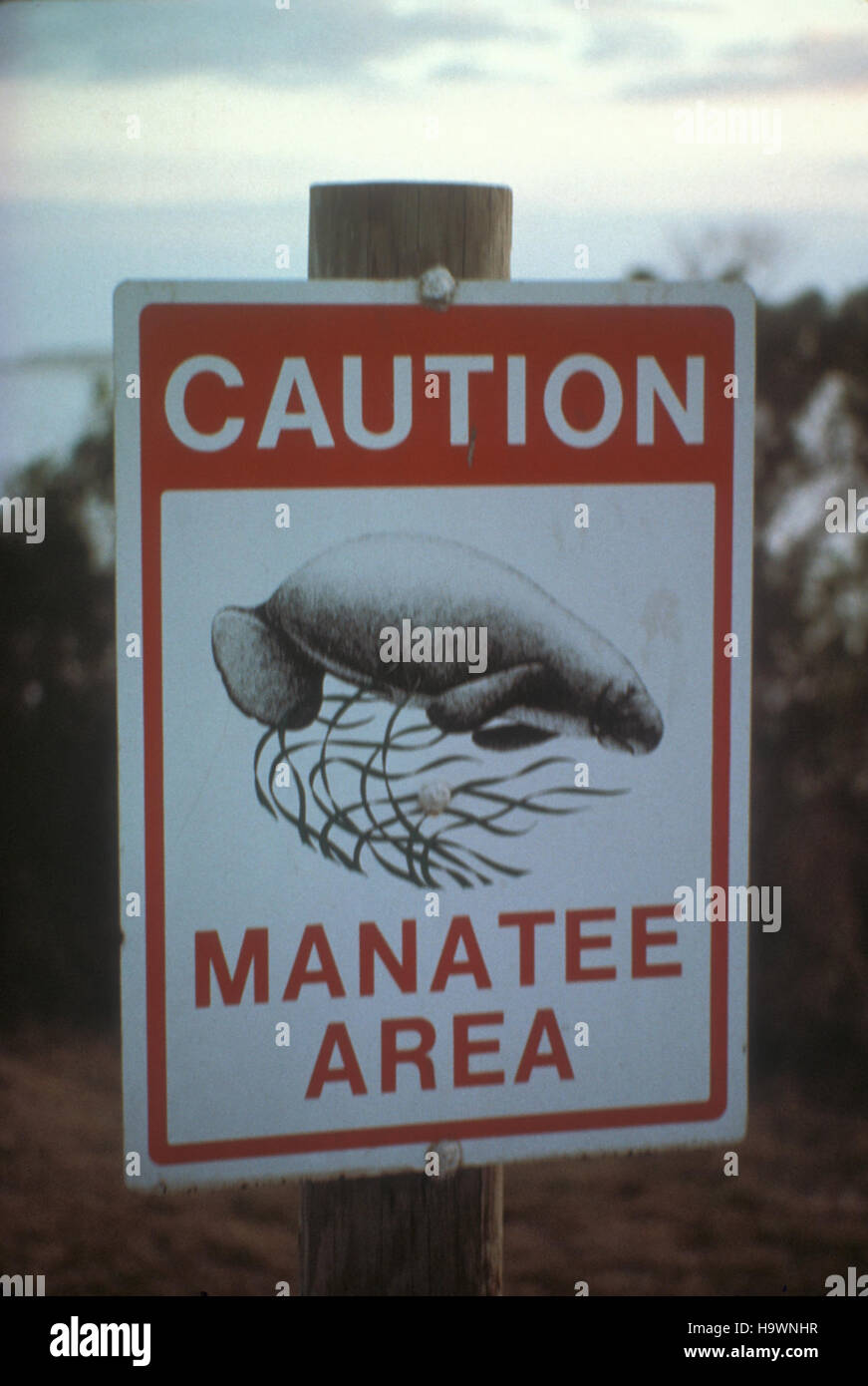 Manatee area hi-res stock photography and images - Alamy