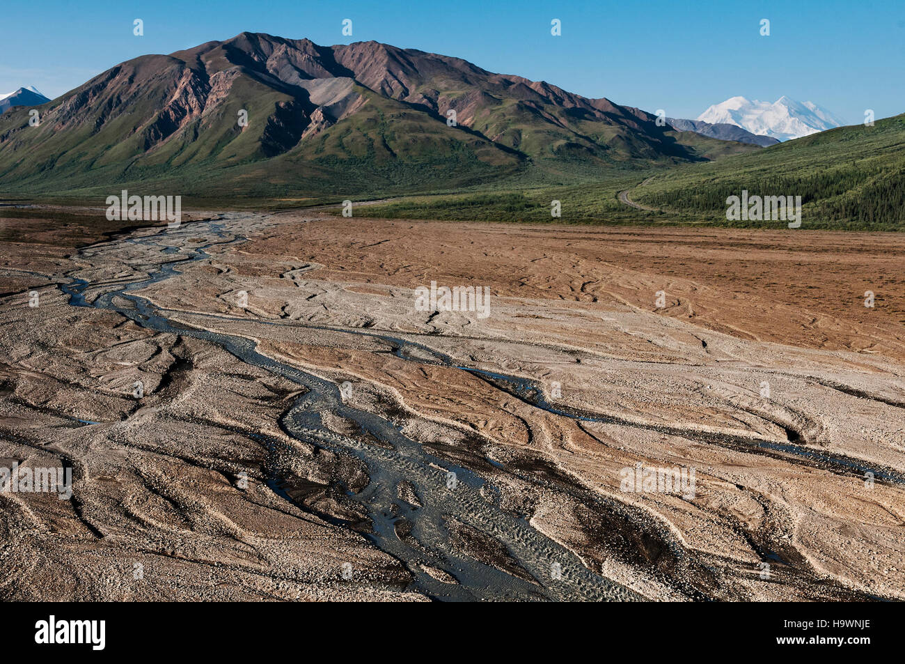 The Toklat River in Denali National Park features unique landscapes and ...