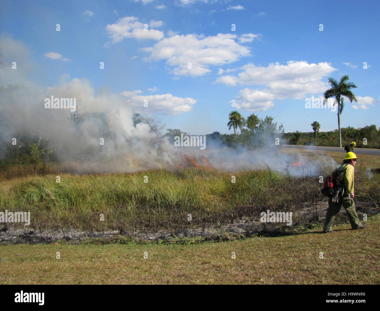 A prescribed fire is conducted near park structures in Everglades ...