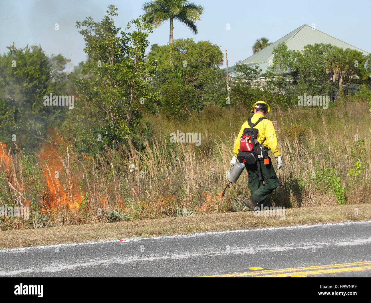Fire resistant ecology adaptation hi-res stock photography and images ...