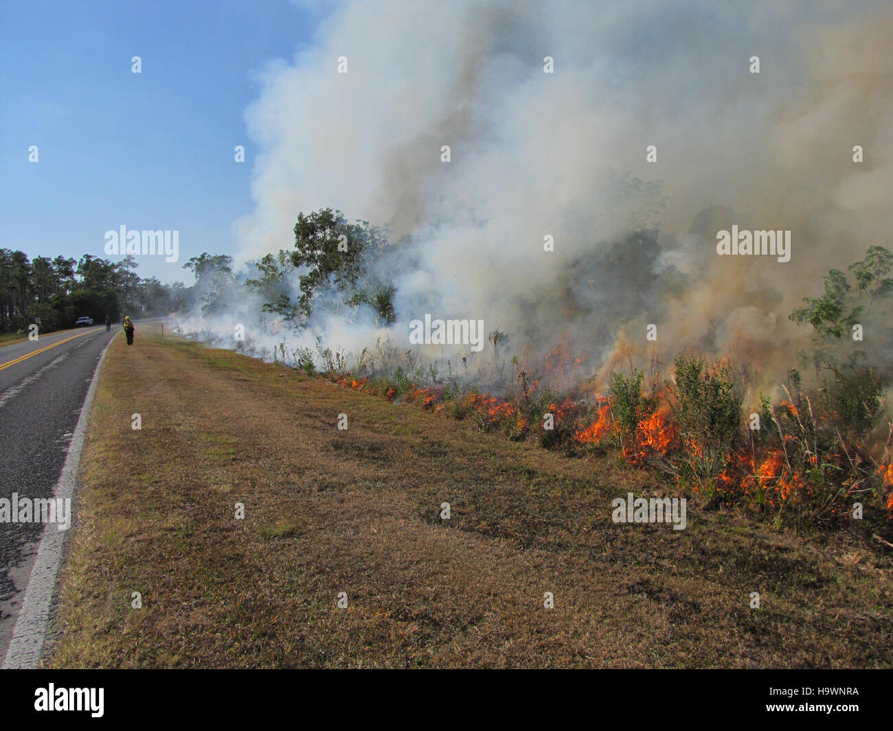 evergladesnps 9101693432 Prescribed fire near park structures (16 ...