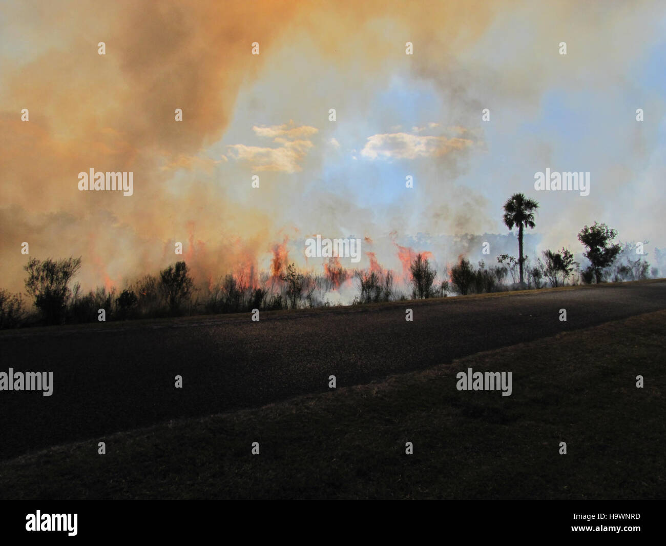 A prescribed fire is conducted near structures in Everglades National ...