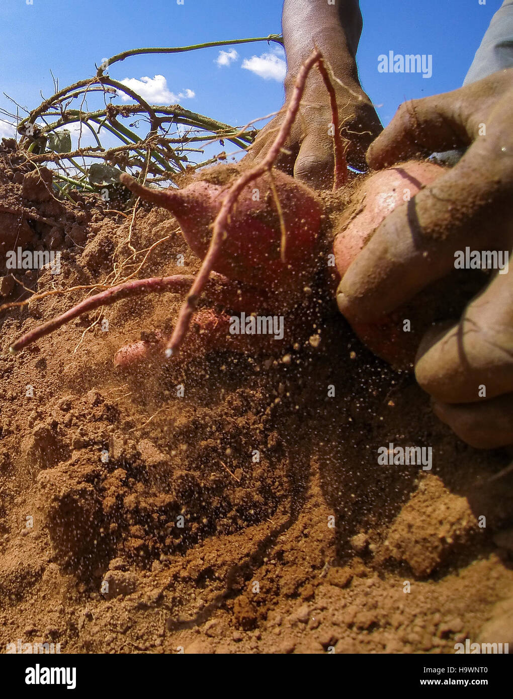 The USDA supports agricultural practices at Kirby Farm, where migrant ...