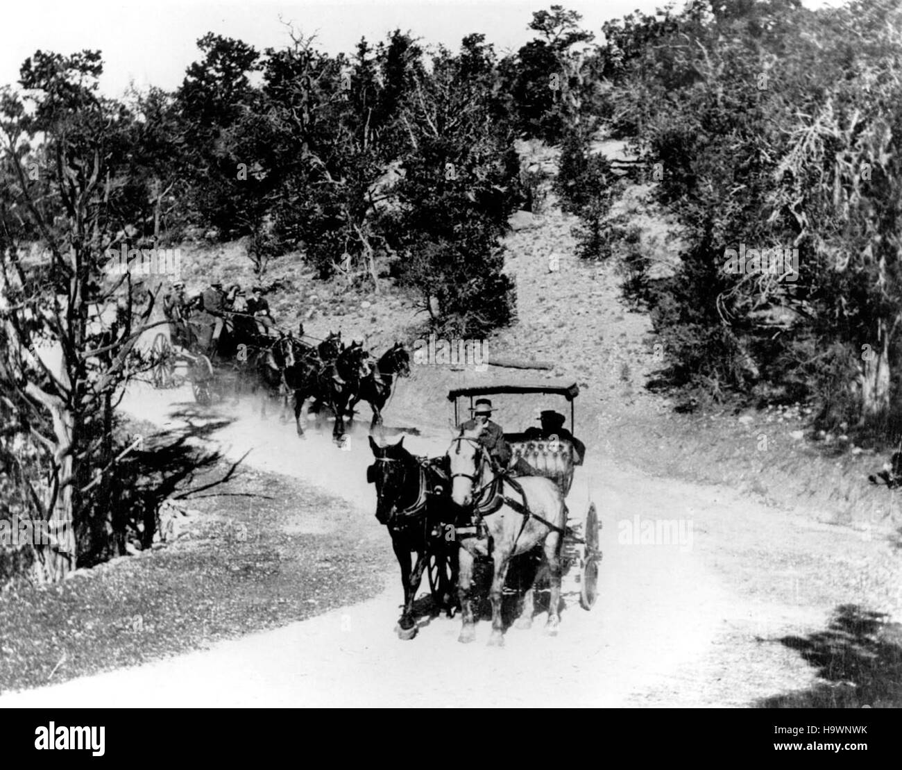 National horse park in Black and White Stock Photos & Images - Alamy