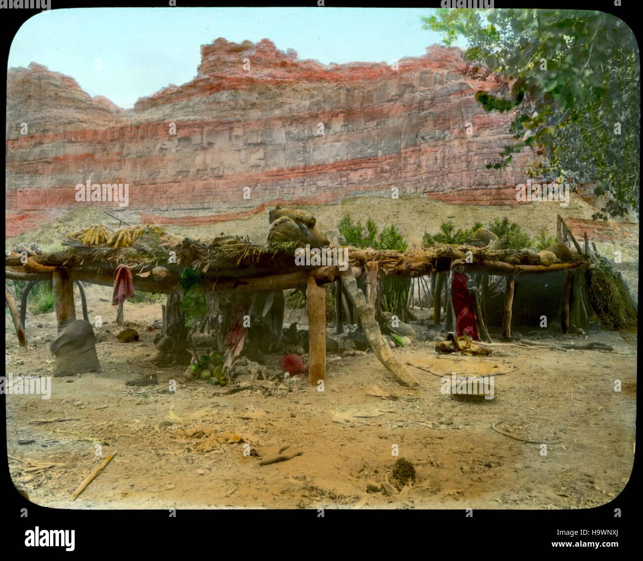 The Havasupai people have a rich history in the Grand Canyon region ...