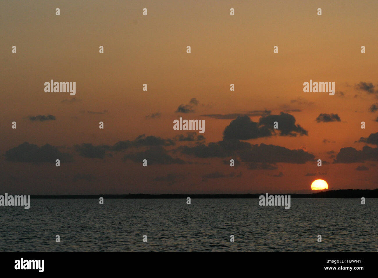 A breathtaking sunrise over the Everglades, captured by NPS ...