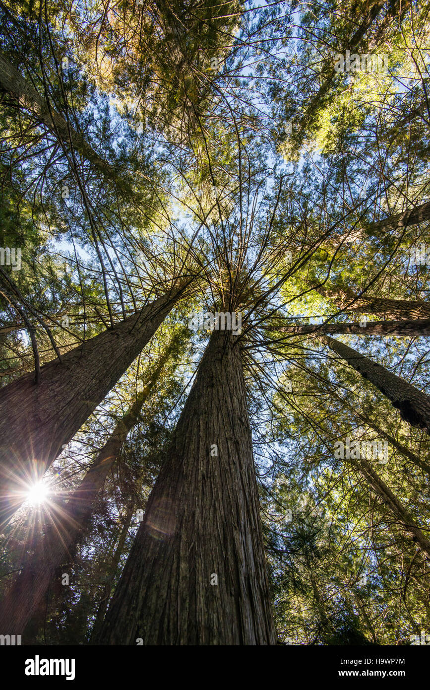 The Suncircle, located in Glacier National Park, is a geological ...