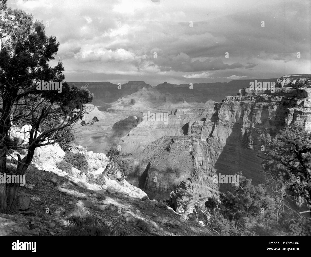 A view of Powell Point in Grand Canyon National Park, offering ...