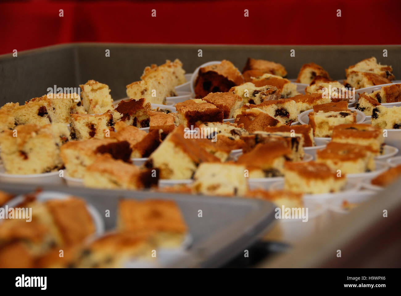 This image from Valley Forge National Park features a sampling of ...