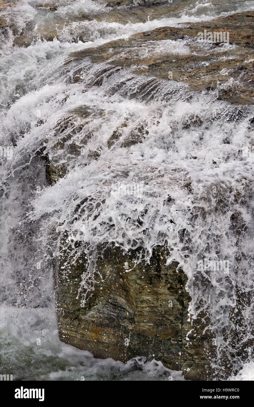 Foaming at the mouth hi-res stock photography and images - Alamy