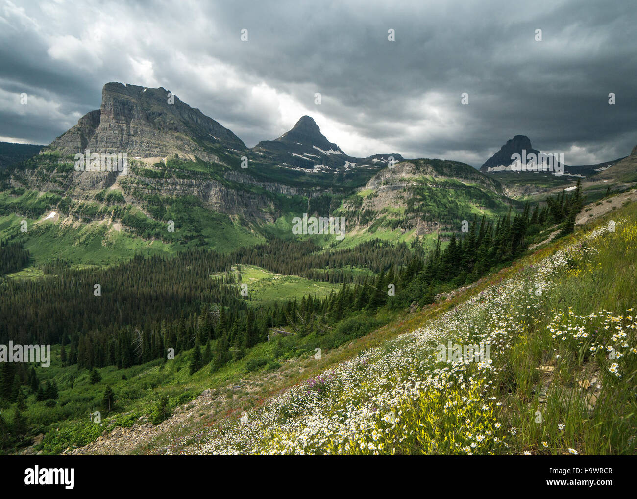 Heavy Runner Mountain in Glacier National Park showcases stunning ...