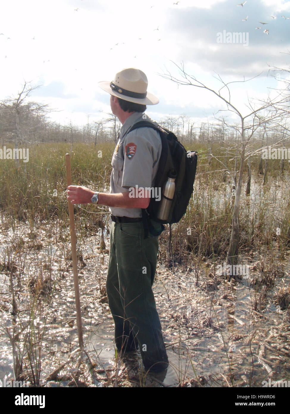 A National Park Service (NPS) park ranger interprets the Everglades ...