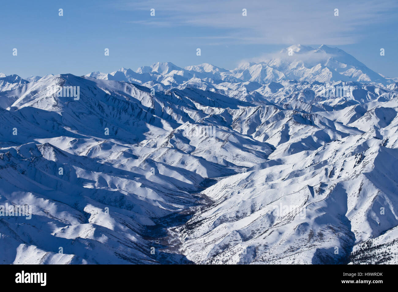 Aerial view of Denali and Upper Big Creek, showcasing the majestic ...