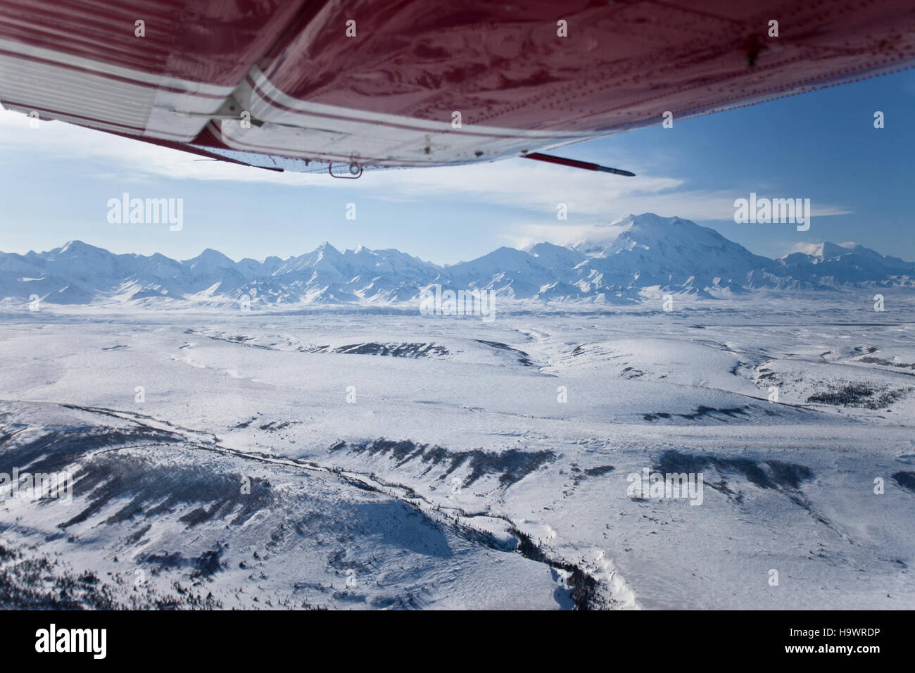 Aerial view of Denali and its surrounding mountain range taken from a ...