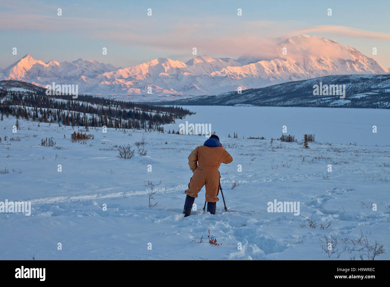denalinps 7065242033 Denali Alpenglow Photographer Stock Photo - Alamy