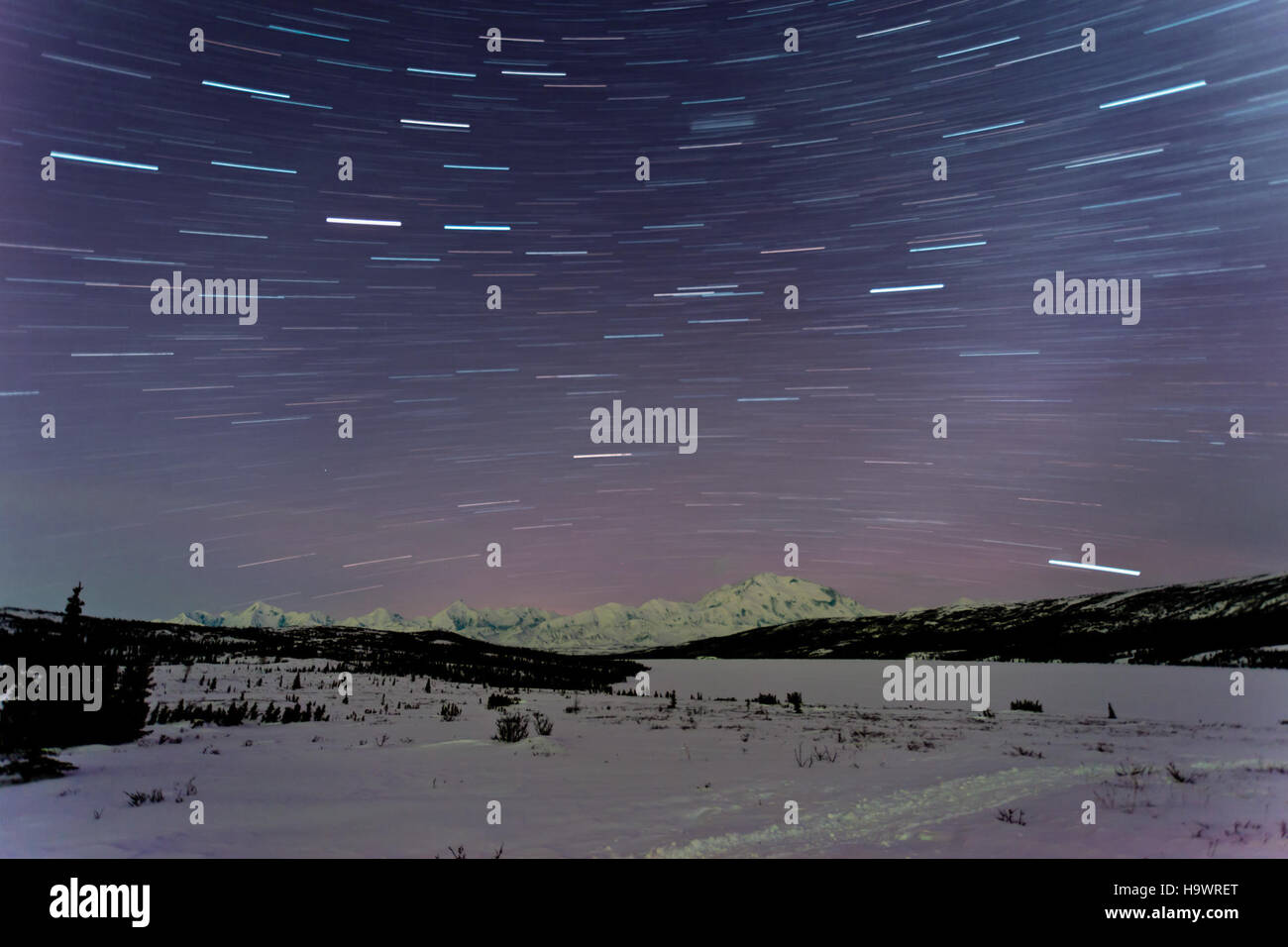 The image features the Denali Star Trails, captured in Denali National ...
