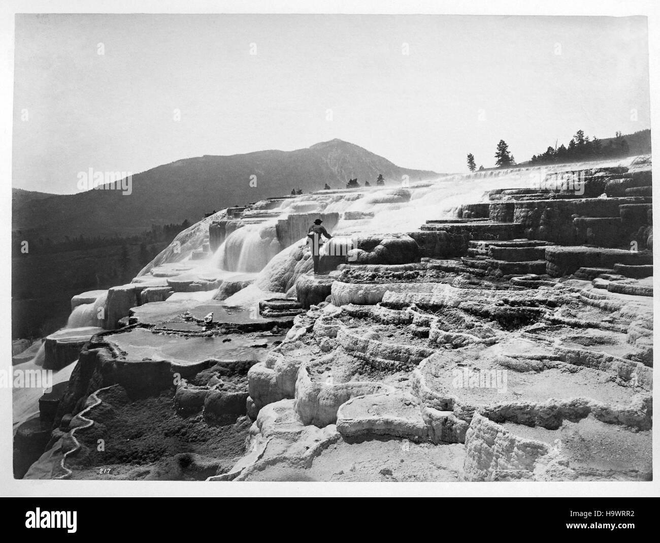 yellowstonenps 29425770641 Jupiter Terrace Stock Photo - Alamy