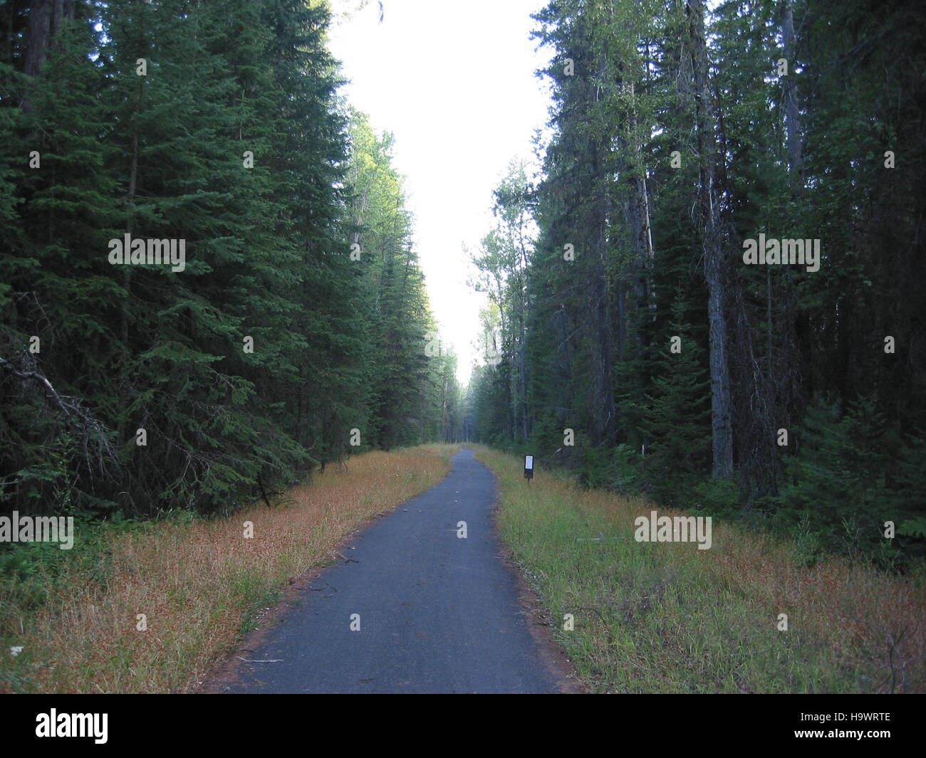 Apgar Bike Path in Glacier National Park offers visitors a scenic route ...