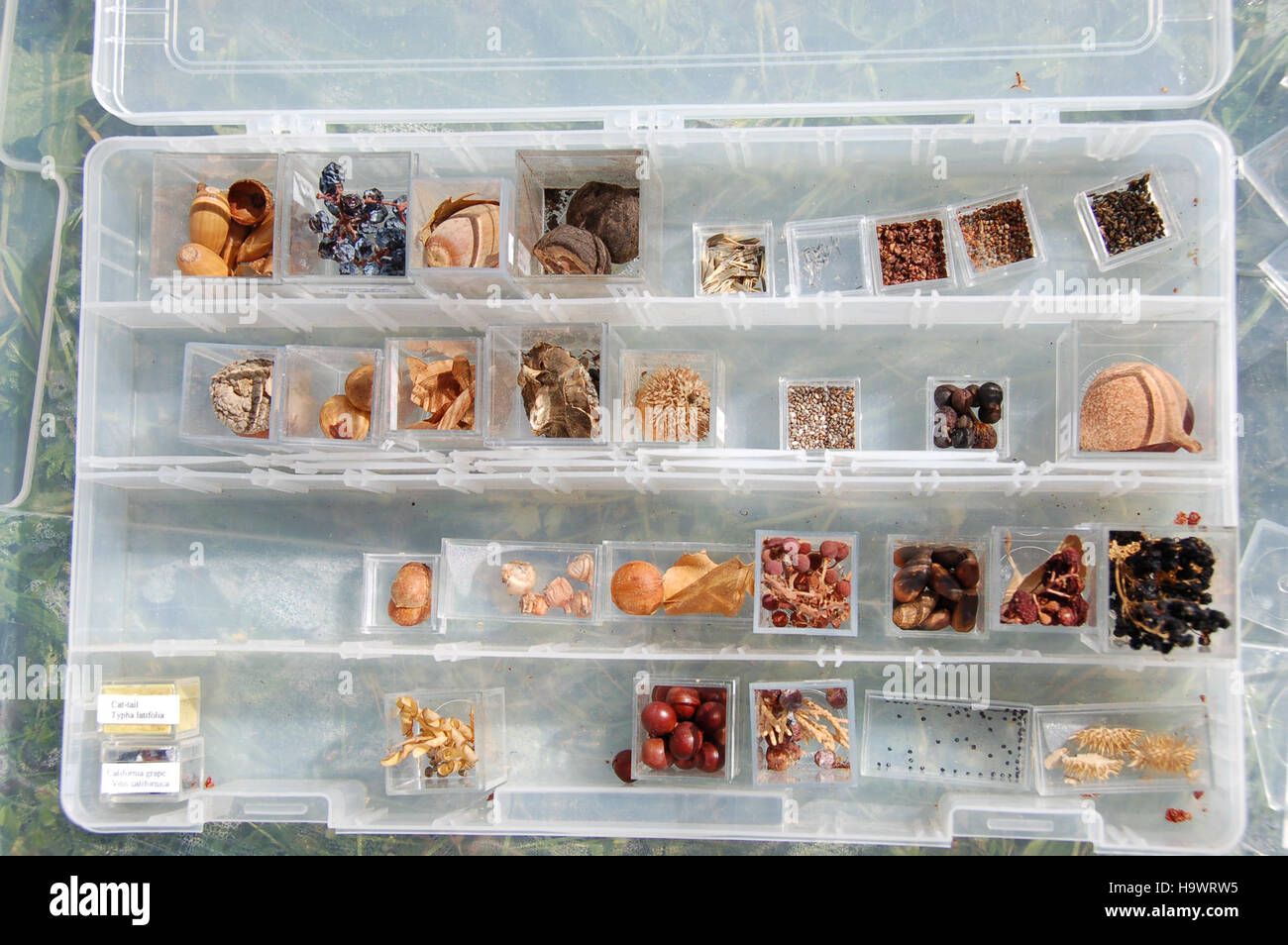 The Ohlone Cultural Presentation at the Anza Trail National Park ...