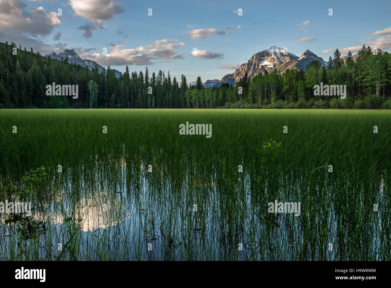 This image shows Bowman Lake, located in Glacier National Park. The ...