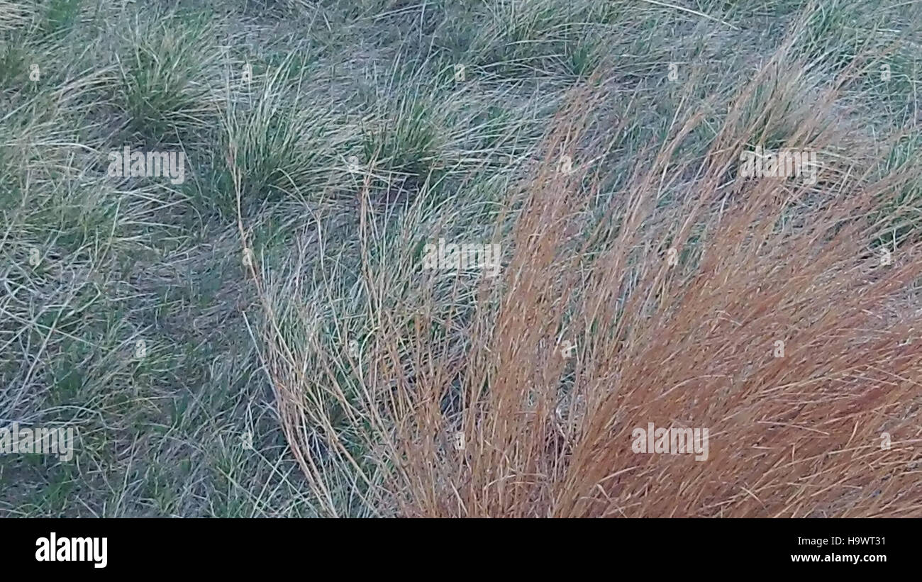 Phillip and Kelsey capture the striking geological features of Badlands ...