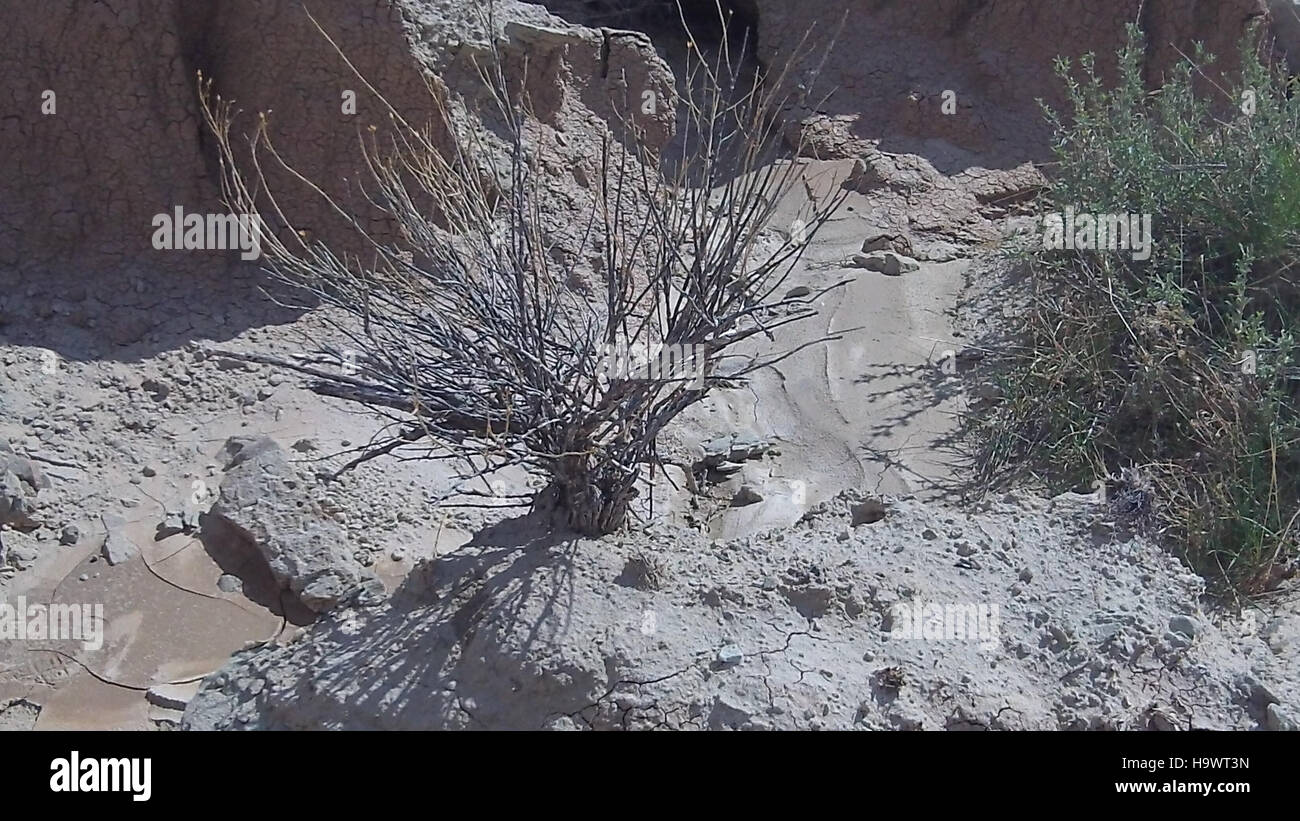 This image shows Phillip and Kelsey during their visit to Badlands ...