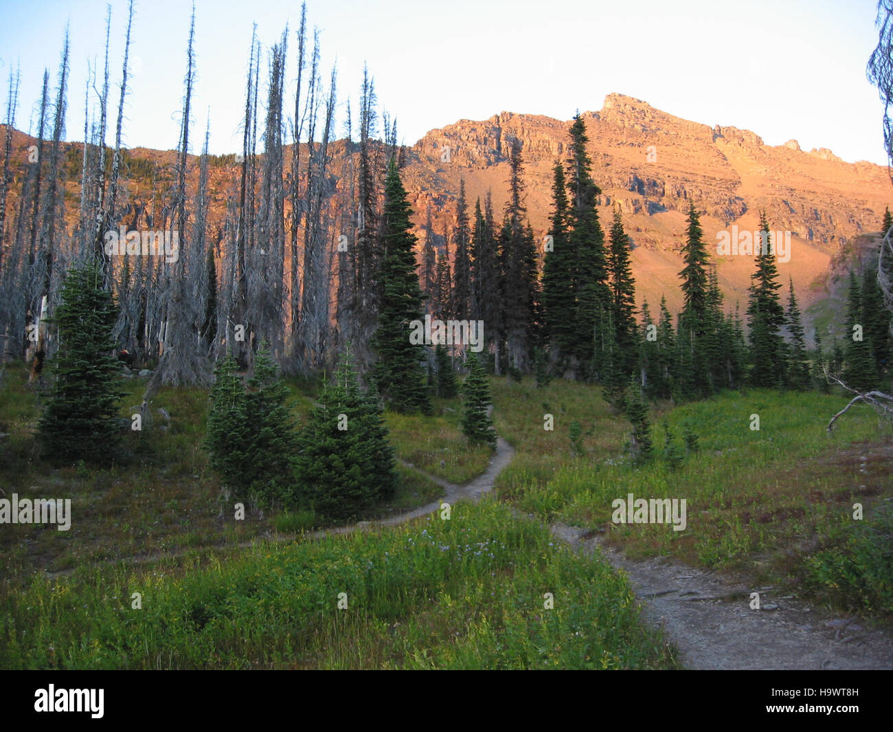 The stunning sunset over the Continental Divide in Glacier National ...