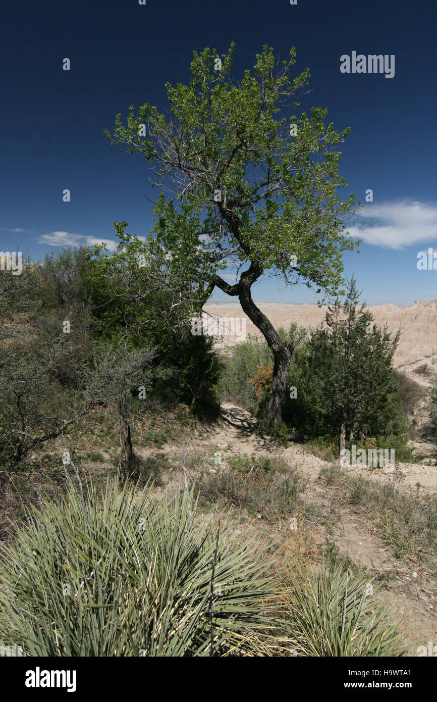 The Stronghold Unit in Badlands National Park is a section of the park ...