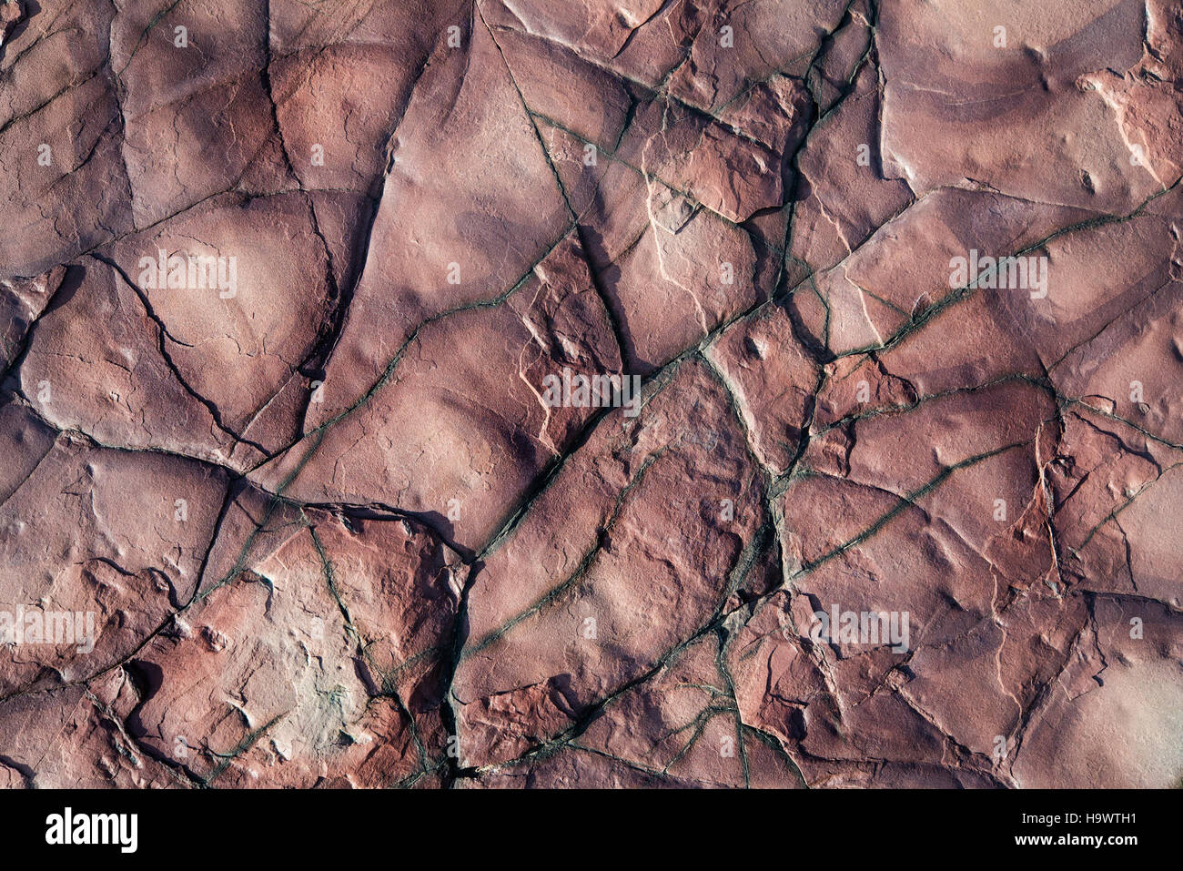 A rock formation at Glacier National Park illustrates the effects of ...