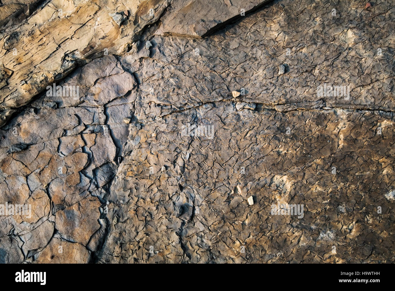 The Highline Trail in Glacier National Park, which has seen significant ...