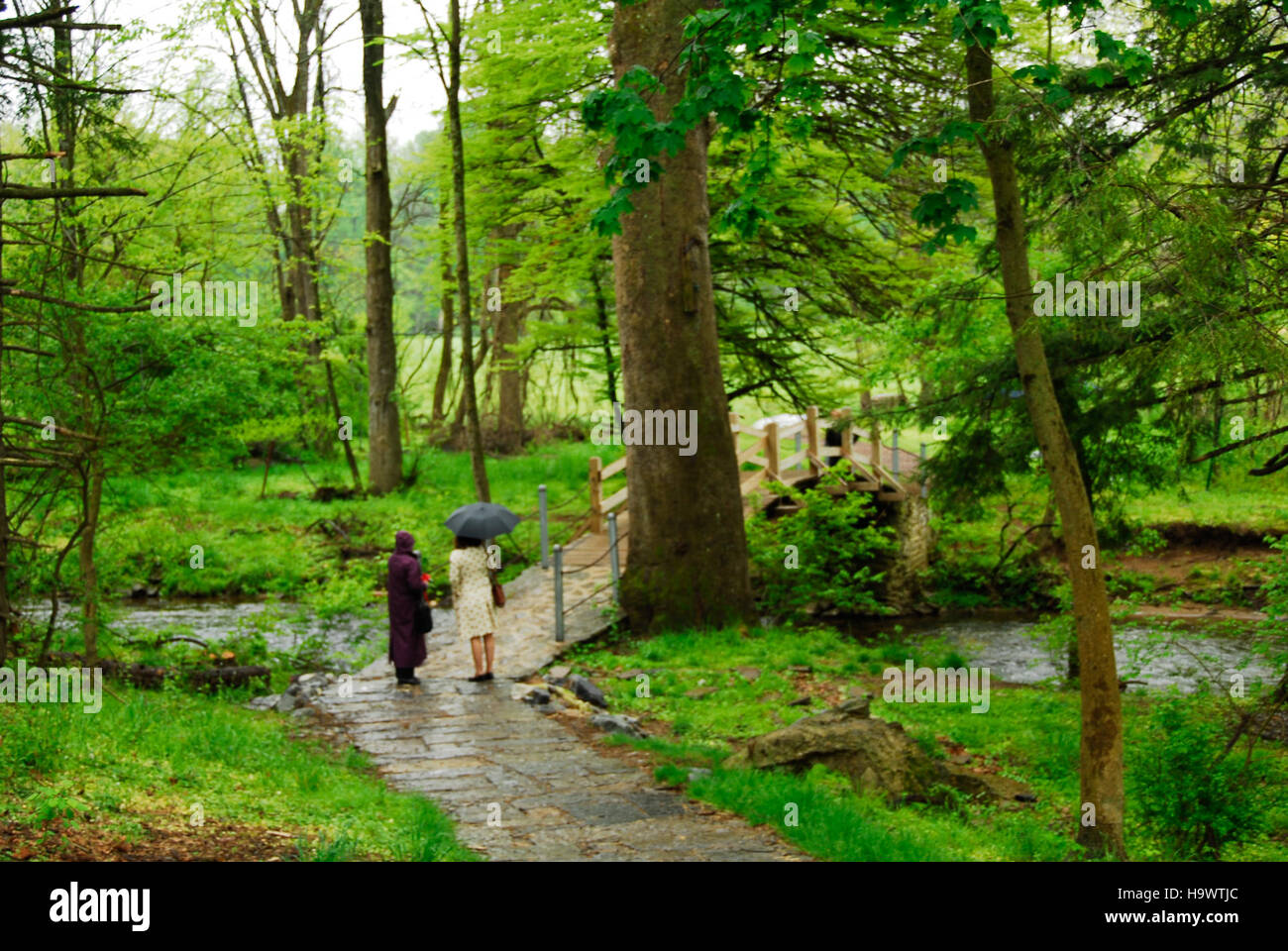 This image depicts the ribbon-cutting ceremony for the Knox Trail ...