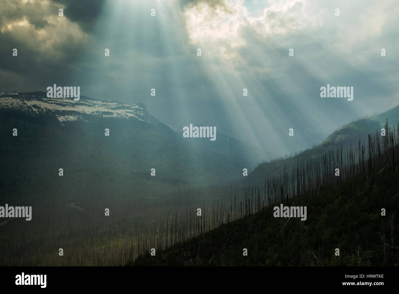 Severe weather in Glacier National Park showcases the rugged conditions ...